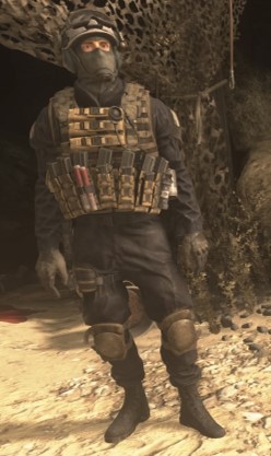 Shadow Company History