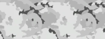 Arctic Camouflage | Call of Duty Wiki | Fandom