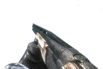 Olympia/Camouflage | Call of Duty Wiki | Fandom