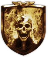 Veteran | Call of Duty Wiki | Fandom