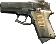 ASP (weapon) | Call of Duty Wiki | Fandom