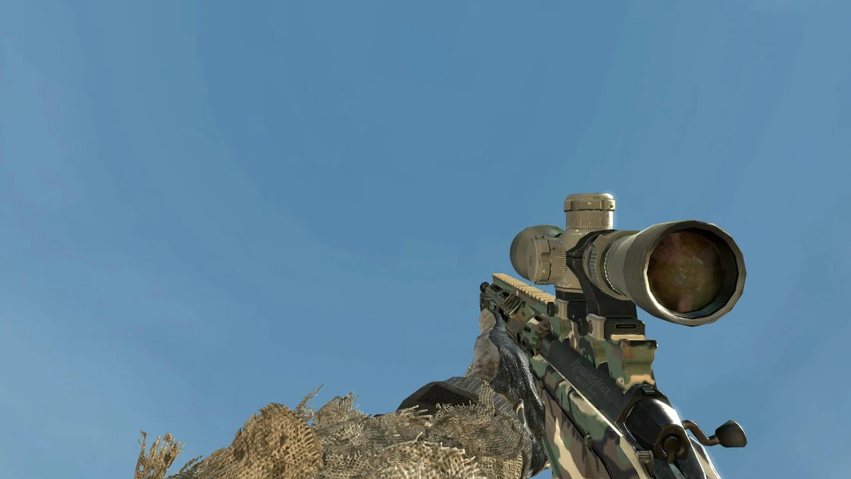 MSR/Camouflage | Call of Duty Wiki | Fandom