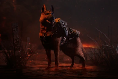 Attack Dogs Black Ops 2