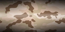 Sahara Camouflage | Call of Duty Wiki | Fandom