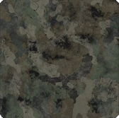 Faded Camouflage | Call of Duty Wiki | Fandom