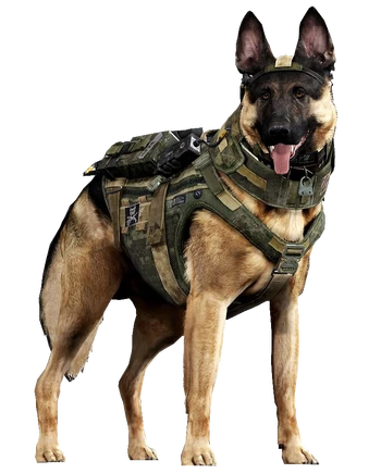 Riley | Call of Duty Wiki | Fandom