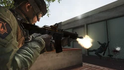 Swat 556 Black Ops 2