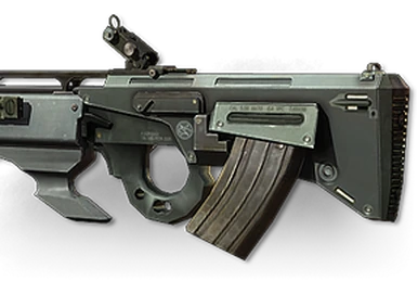 Sc2010 Rifle