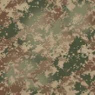 Digital Classic Camouflage | Call of Duty Wiki | Fandom