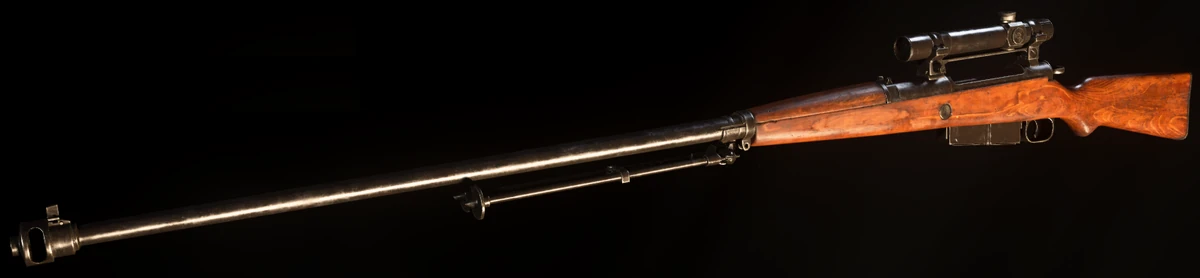 Wz. 35 | Call of Duty Wiki | Fandom