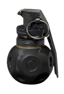 Decoy | Call of Duty Wiki | Fandom