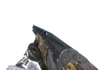 Olympia/Camouflage | Call of Duty Wiki | Fandom