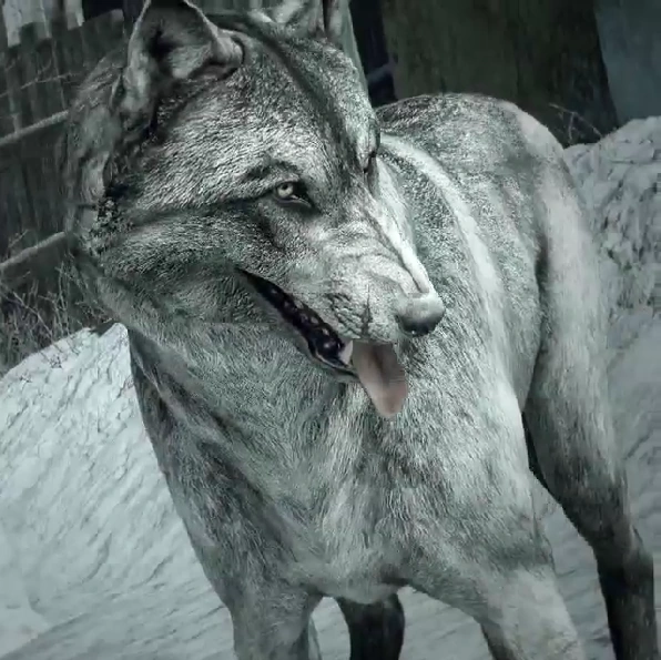 Wolves | Call of Duty Wiki | Fandom