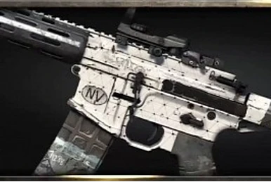 Advanced Warfare Guns Camo