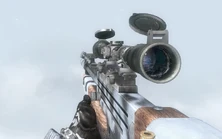 WA2000/Camouflage | Call of Duty Wiki | Fandom