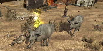 Bulls | Call of Duty Wiki | Fandom