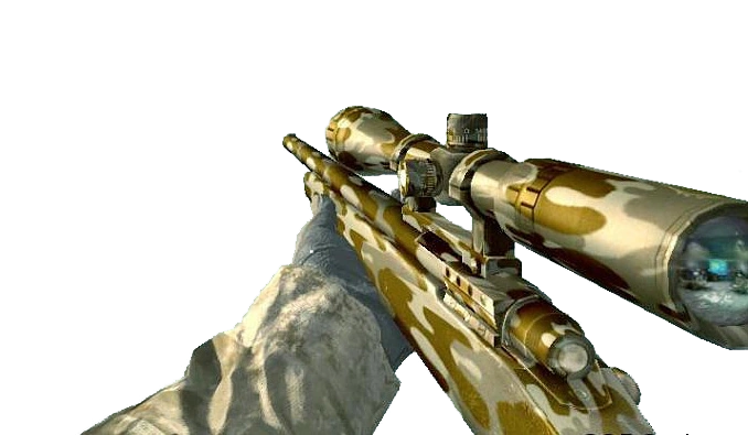 R700/Камуфляжи | Call of Duty Wiki | Fandom