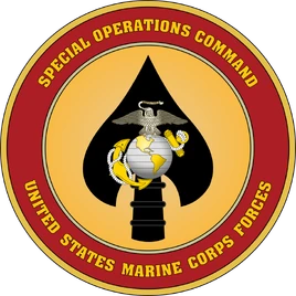 United States Marine Corps | Call of Duty Wiki | Fandom