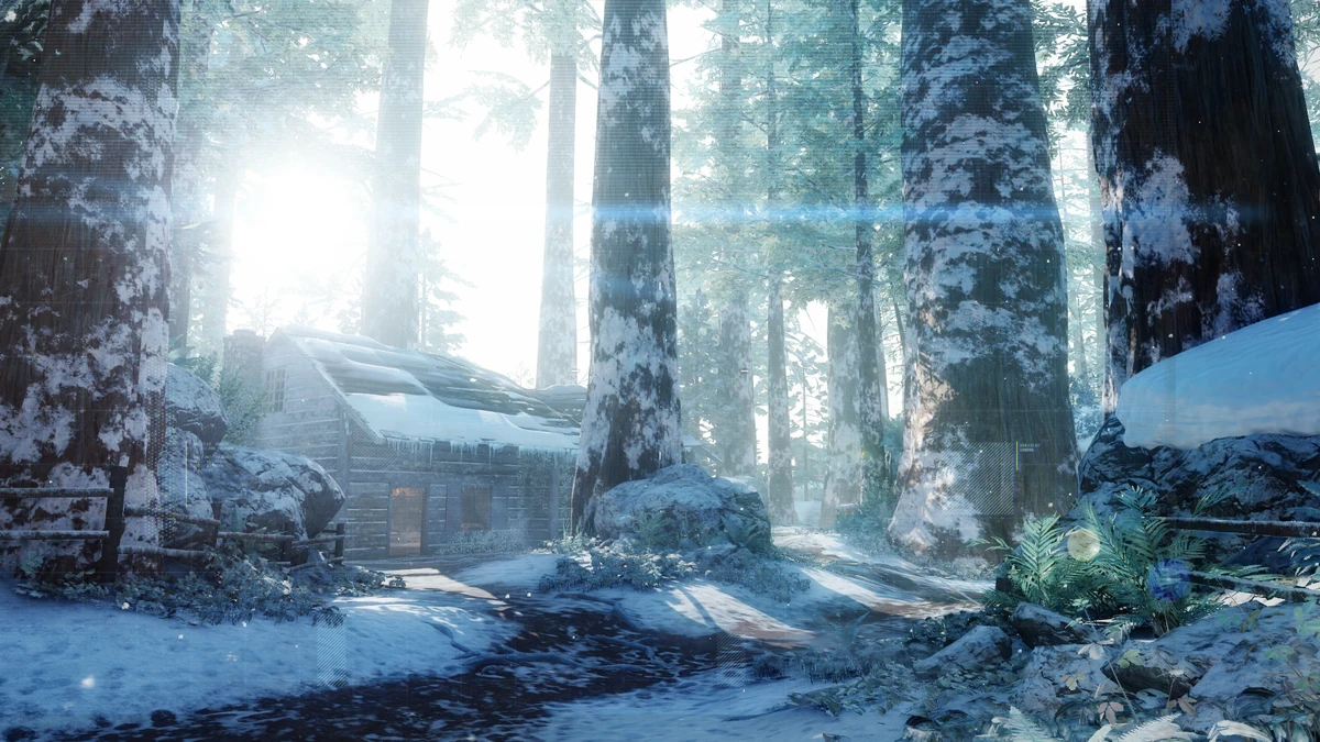Redwood Snow | Call of Duty Wiki | Fandom