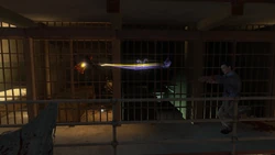 hell's retriever skulls