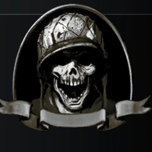 Call Of Duty Veteran Skull