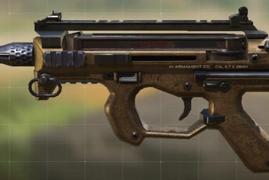 Type 25 Assault Rifle Real Life