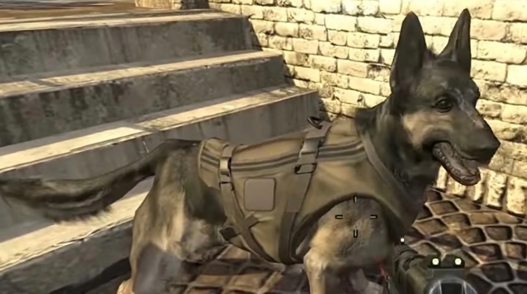 cod vanguard attack dogs