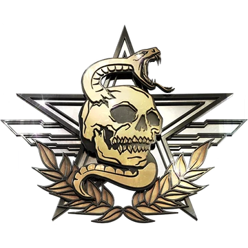 Call Of Duty Multiplayer Team Logos