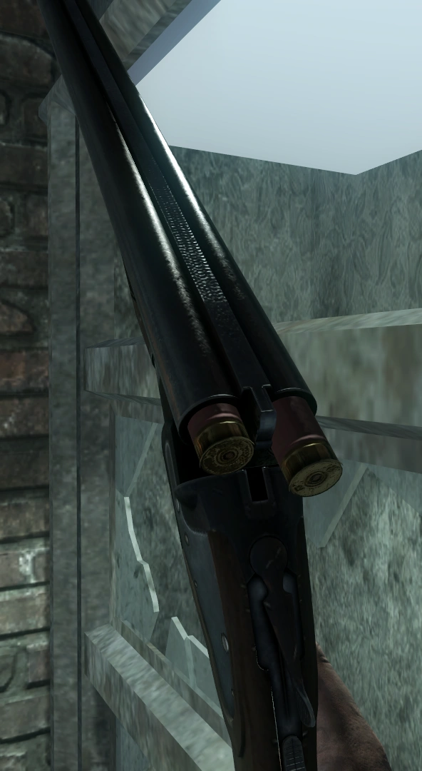 Double barrel shotgun reload - mozacu