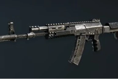 Sc 2010 Assault Rifle
