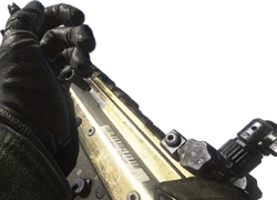 Gold Hamr Black Ops 2