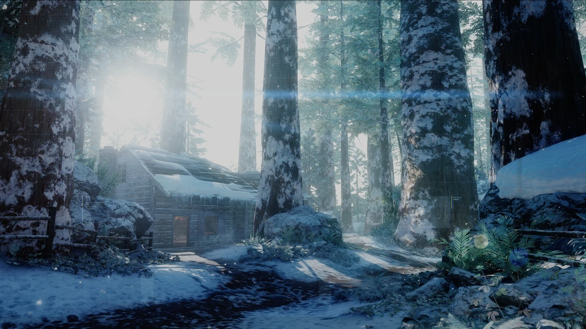 Redwood Snow | Call of Duty Wiki | Fandom