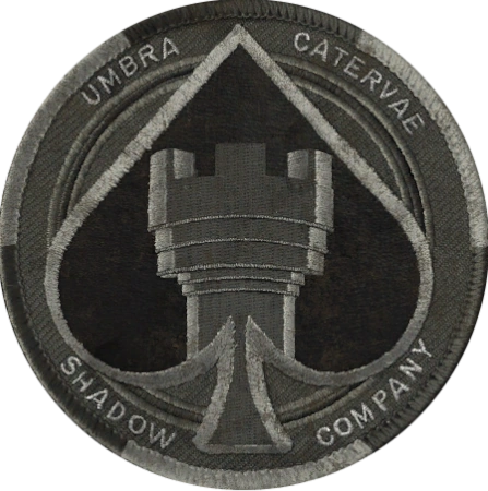 Shadow Company Mercenary | Enemy at The Gate | Call of Duty®: Modern ...