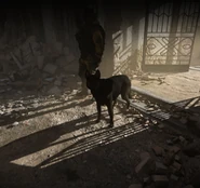 Dog | Call of Duty Wiki | Fandom