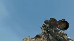 RSASS/Camouflage | Call of Duty Wiki | Fandom