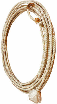 Lasso | Call of Juarez Wiki | Fandom