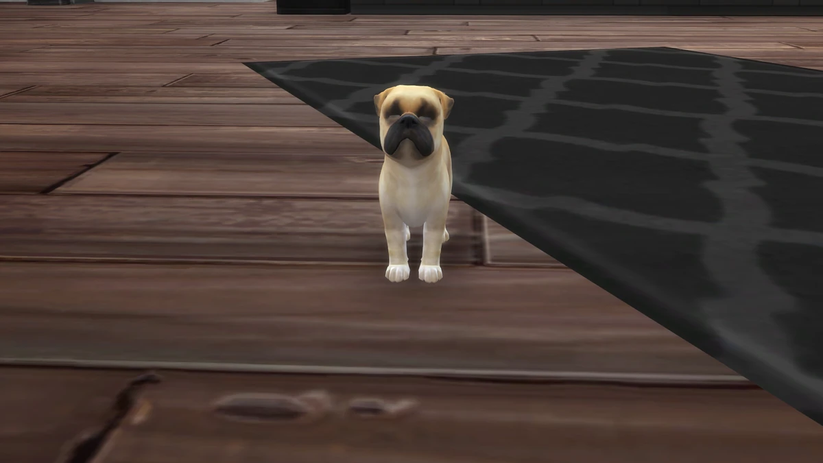 Maxie | Calysta Lynn Sims 4 Wiki | Fandom