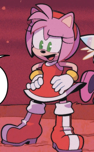 Amy Rose | Character ask me anything rp library Wiki | Fandom
