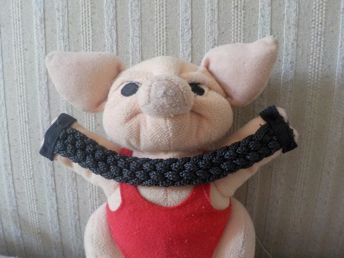 Furgus Brown Aka (Arm Stretching Pig) | Cambellpedia Wikia | Fandom