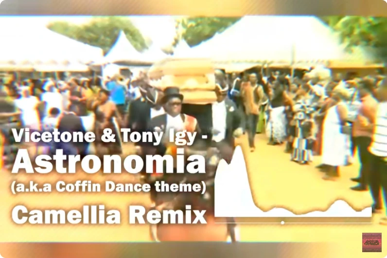Coffin Dance (Camellia Remix) | Camellia Wiki | Fandom