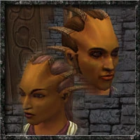 Shar | Dark Age of Camelot Wiki | Fandom