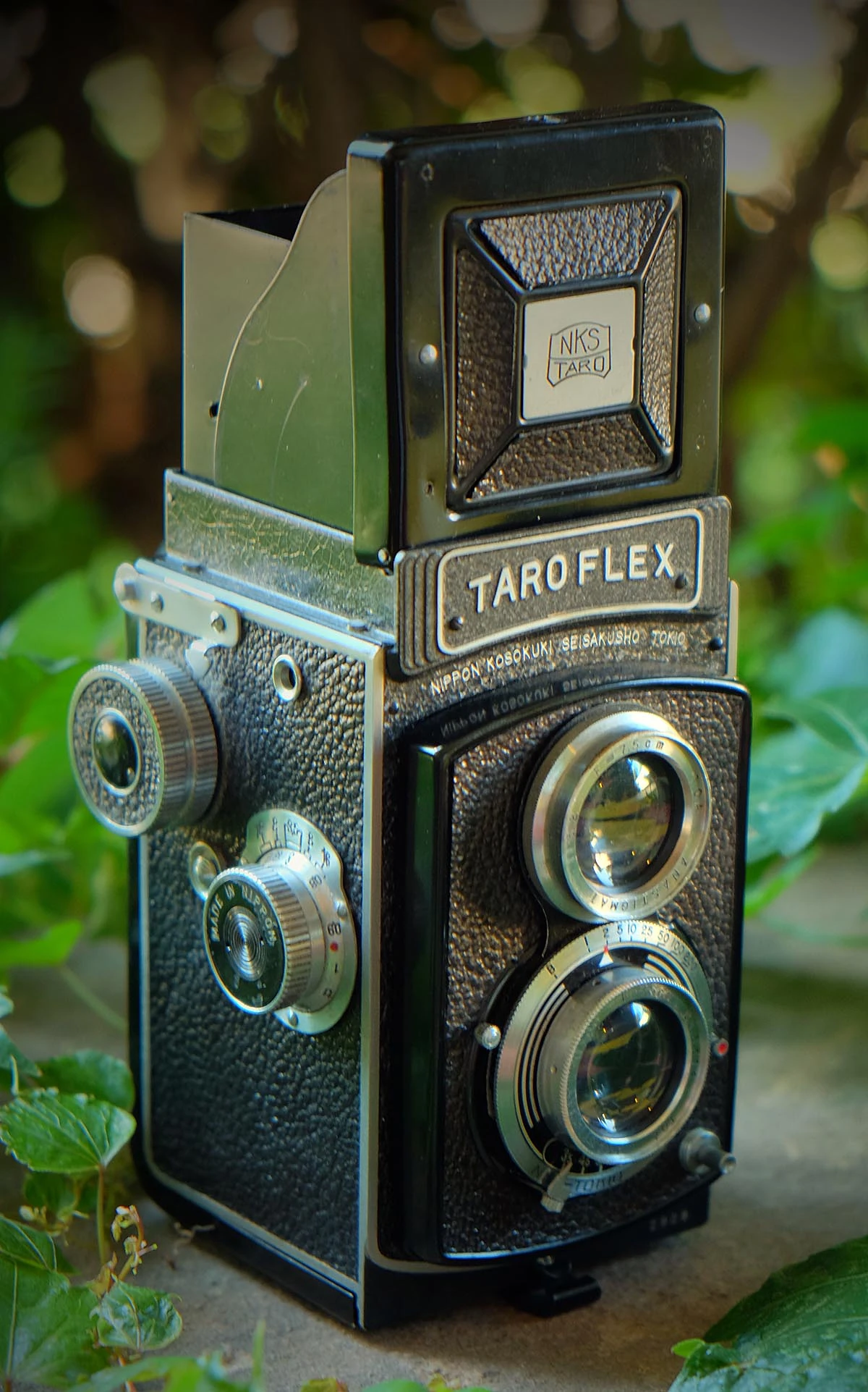 Taroflex | Camerapedia | Fandom