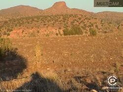 MultiCam | Camouflage Wiki | Fandom