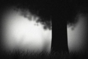 Shadow Realm | Camp Half-Blood Role-Play Wiki | Fandom