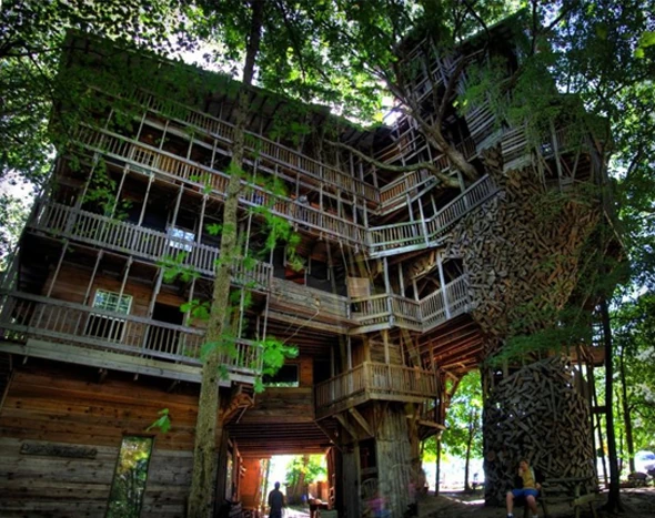 The Tree Fort | Camp Half-Blood Role-Play Wiki | Fandom