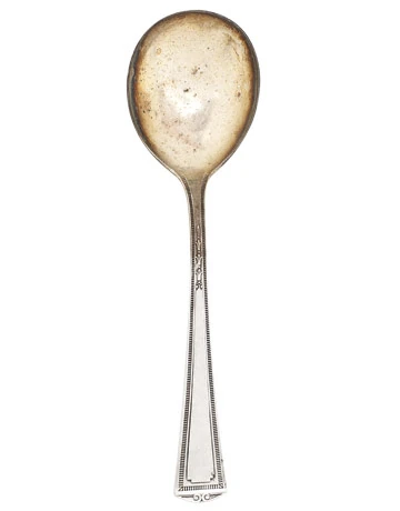 Curse of the silver spoon | World Wiki | Fandom