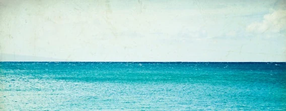 Archived:Tamara Blake | Camp Half-Blood Role Playing Wiki | Fandom