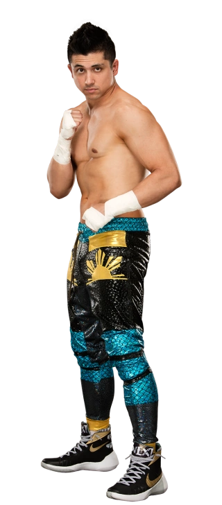 TJ Perkins | Campingboy's WWE Wiki | Fandom