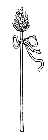 Bacchus | Camp Jupiter Wiki | Fandom