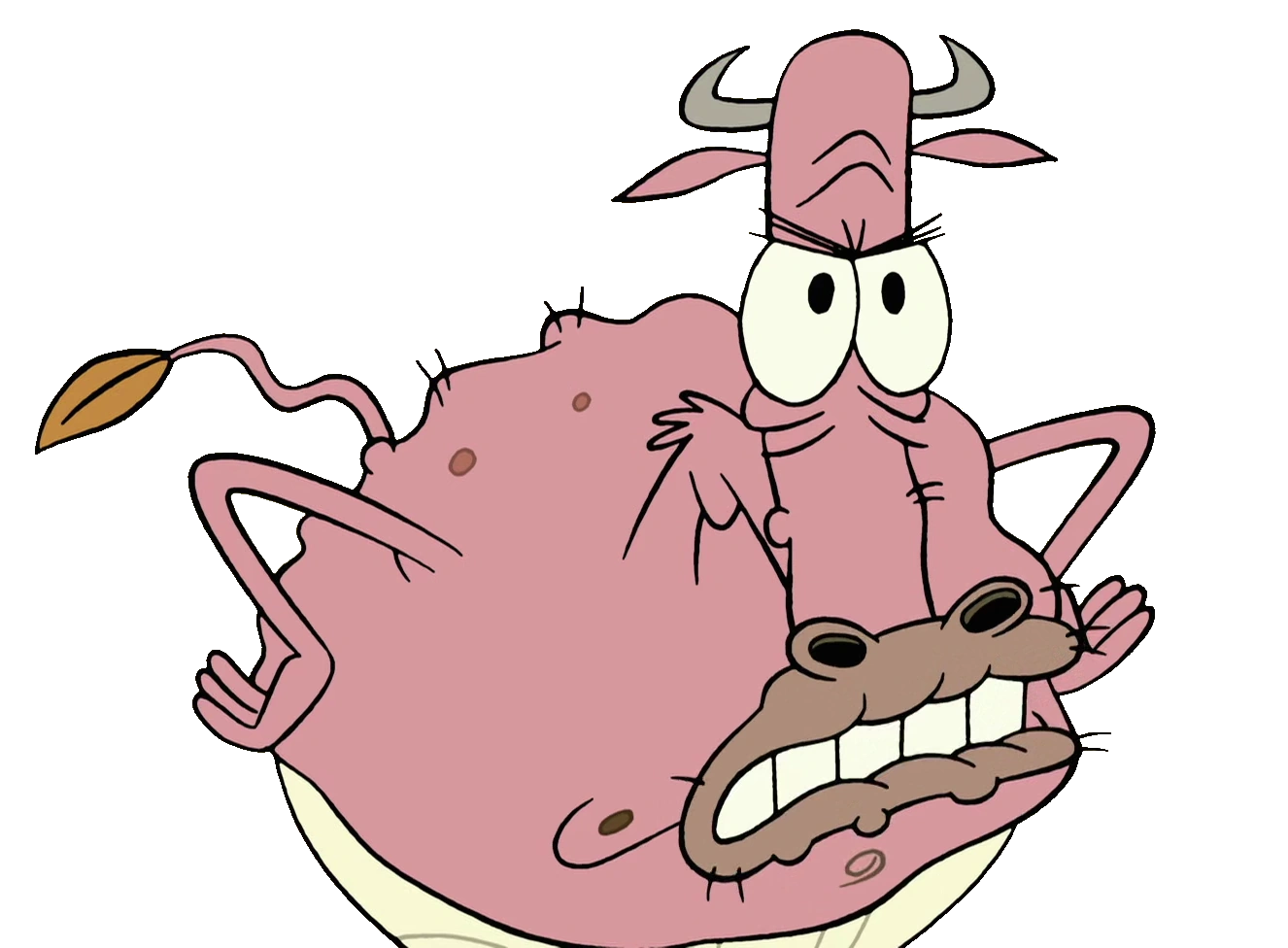 Real Scoutmaster of Camp Kidney | Camp Lazlo Wiki | Fandom